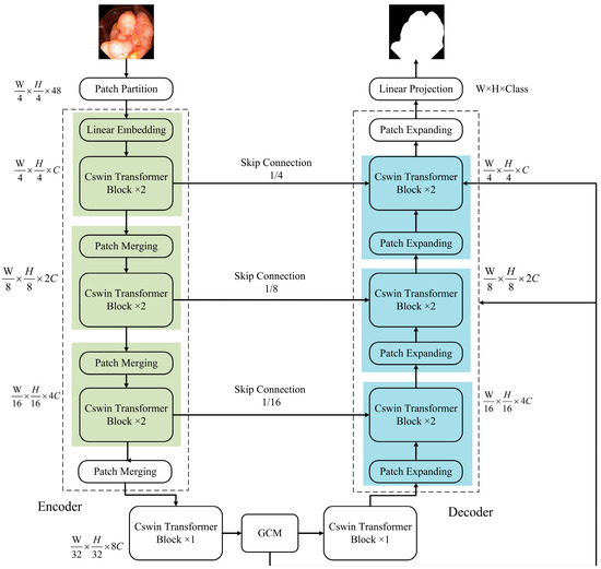 GCCSwin-UNet: Global Context and Cross-Shaped Windows Vision Transformer Network for Polyp ...