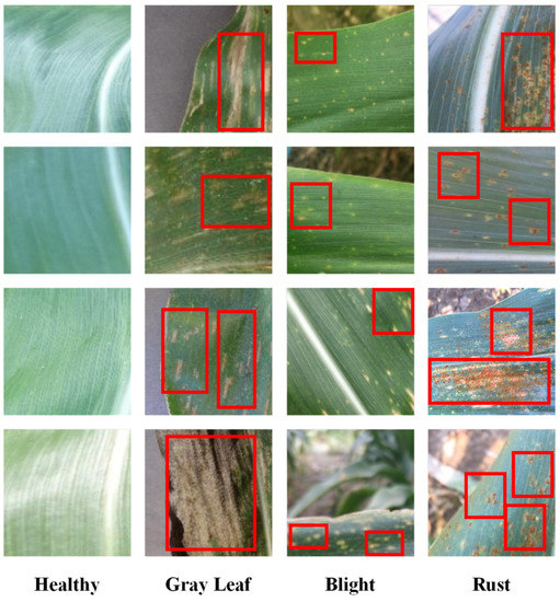 Adversarial Training Collaborating Multi-Path Context Feature ...