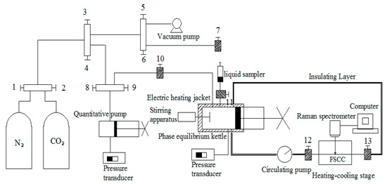 Integrated a Fused Silica Capillary Cell and In Situ Raman Spectroscopy ...