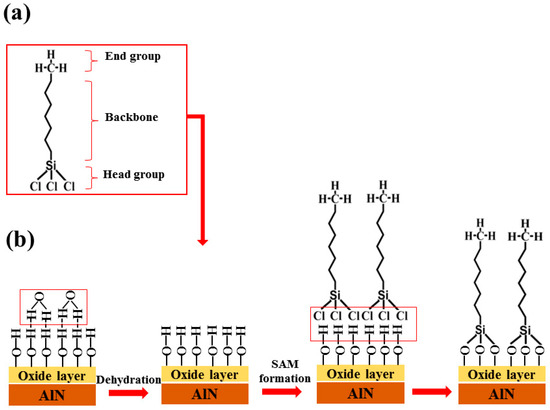 High-Thermal-Conductivity AlN Ceramics Prepared from ...