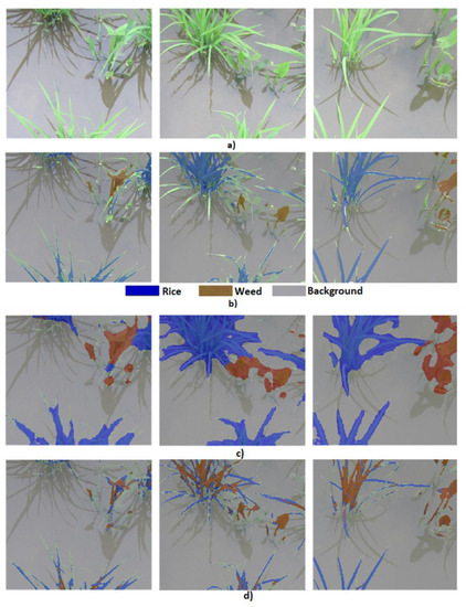 Processes | Free Full-Text | Methods for Detecting and Classifying Weeds, Diseases and Fruits ...
