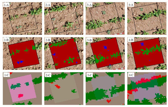 Methods for Detecting and Classifying Weeds, Diseases and Fruits Using AI to Improve the ...