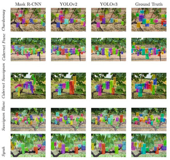 Processes | Free Full-Text | Methods for Detecting and Classifying Weeds, Diseases and Fruits ...