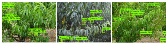 Methods for Detecting and Classifying Weeds, Diseases and Fruits Using AI to Improve the ...