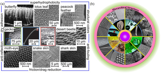 A Review of Advances in Fabrication Methods and Assistive Technologies ...