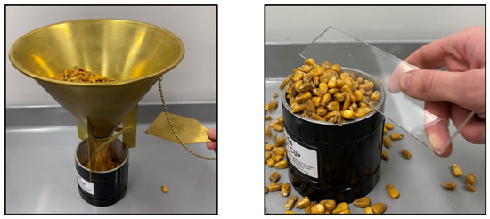 Physical Properties of Moist, Fermented Corn Kernels