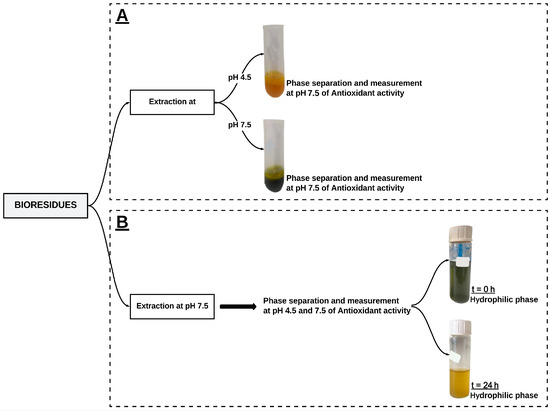 Antioxidant Activity, Total Phenolic and Flavonoid Contents in Floral ...
