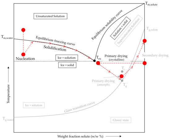 Effect of the Freezing Step on Primary Drying Experiments and ...