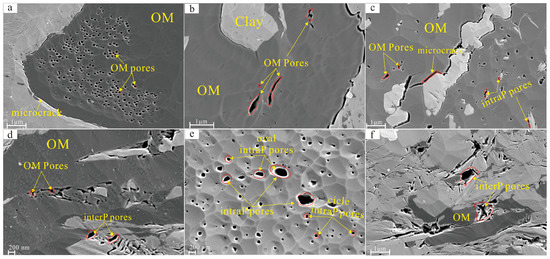 Pore Structure and Fractal Characteristics of Marine–Continental ...