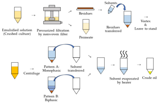Simple and Economical Downstream Process Development for Edible Oil ...