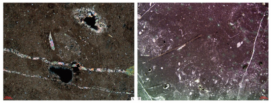 Sedimentary Evolution and Geological Characteristics of the Jurassic in ...