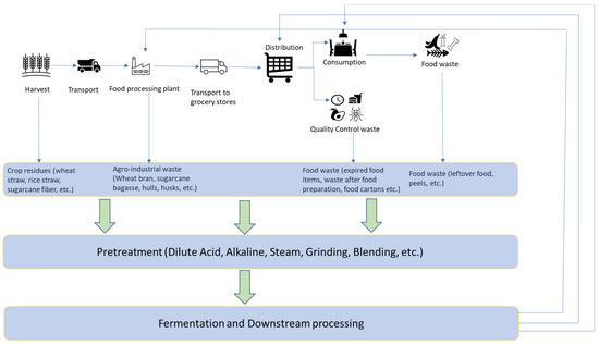 Production of Value-Added Products as Food Ingredients via Microbial ...