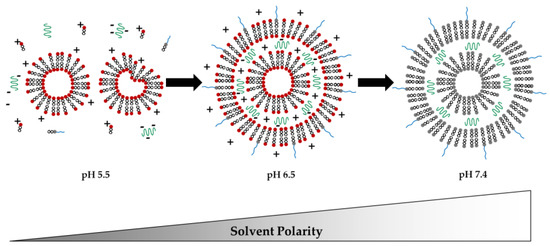 Formulation of Nucleic Acids by Encapsulation in Lipid Nanoparticles ...