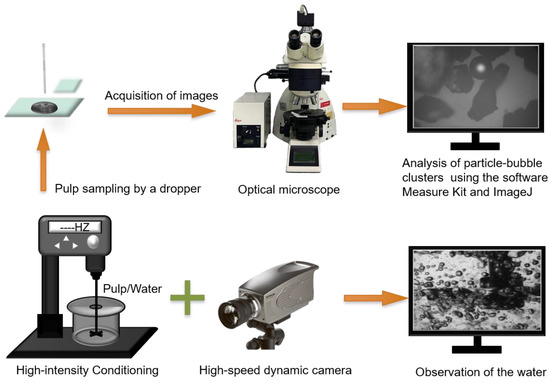 Changes in Surface Hydrophobicity of Coal Particles and the Formation ...
