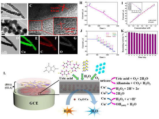 Recent Applications and Prospects of Nanowire-Based Biosensors