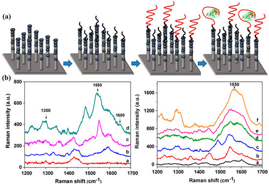 Recent Applications and Prospects of Nanowire-Based Biosensors