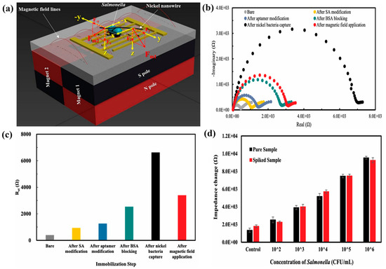 Recent Applications and Prospects of Nanowire-Based Biosensors