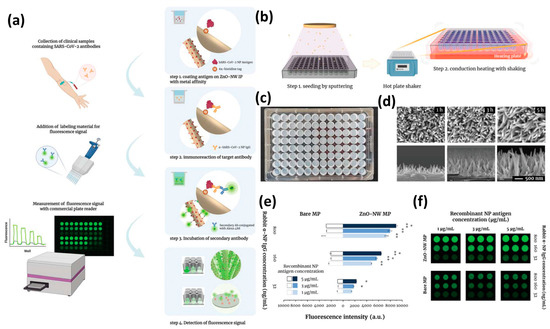 Recent Applications and Prospects of Nanowire-Based Biosensors