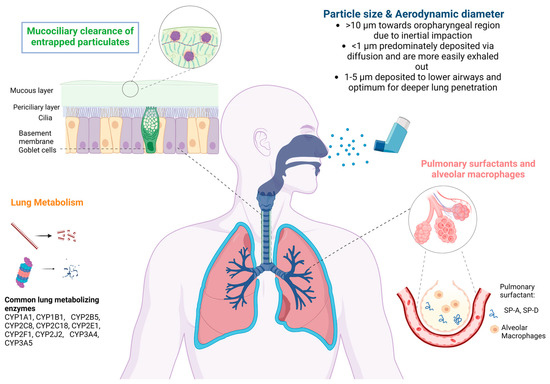 Pulmonary Delivery for miRs: Present and Future Potential