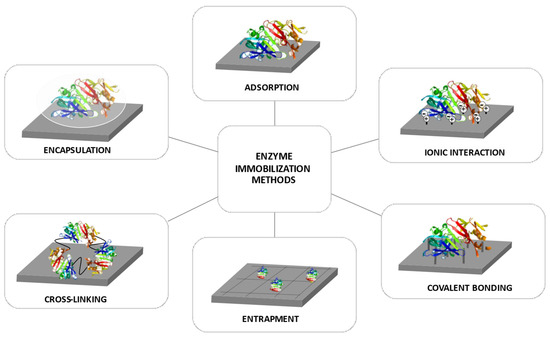 Use of Potential Immobilized Enzymes for the Modification of Liquid ...