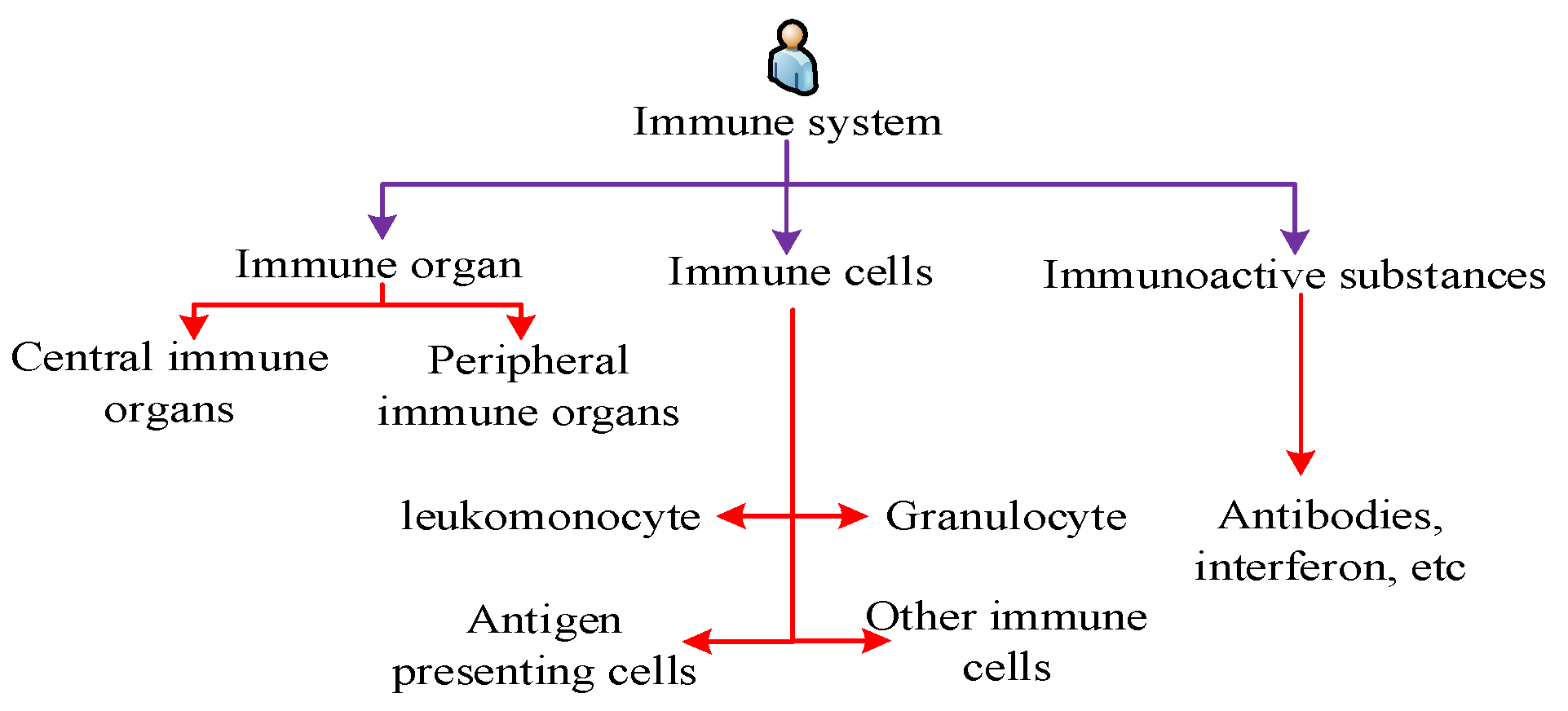 Processes | Free Full-Text | Application of Improved Artificial Immune System Algorithm Based on ...