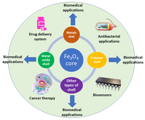 Fe3O4 Core–Shell Nanostructures with Anticancer and Antibacterial ...