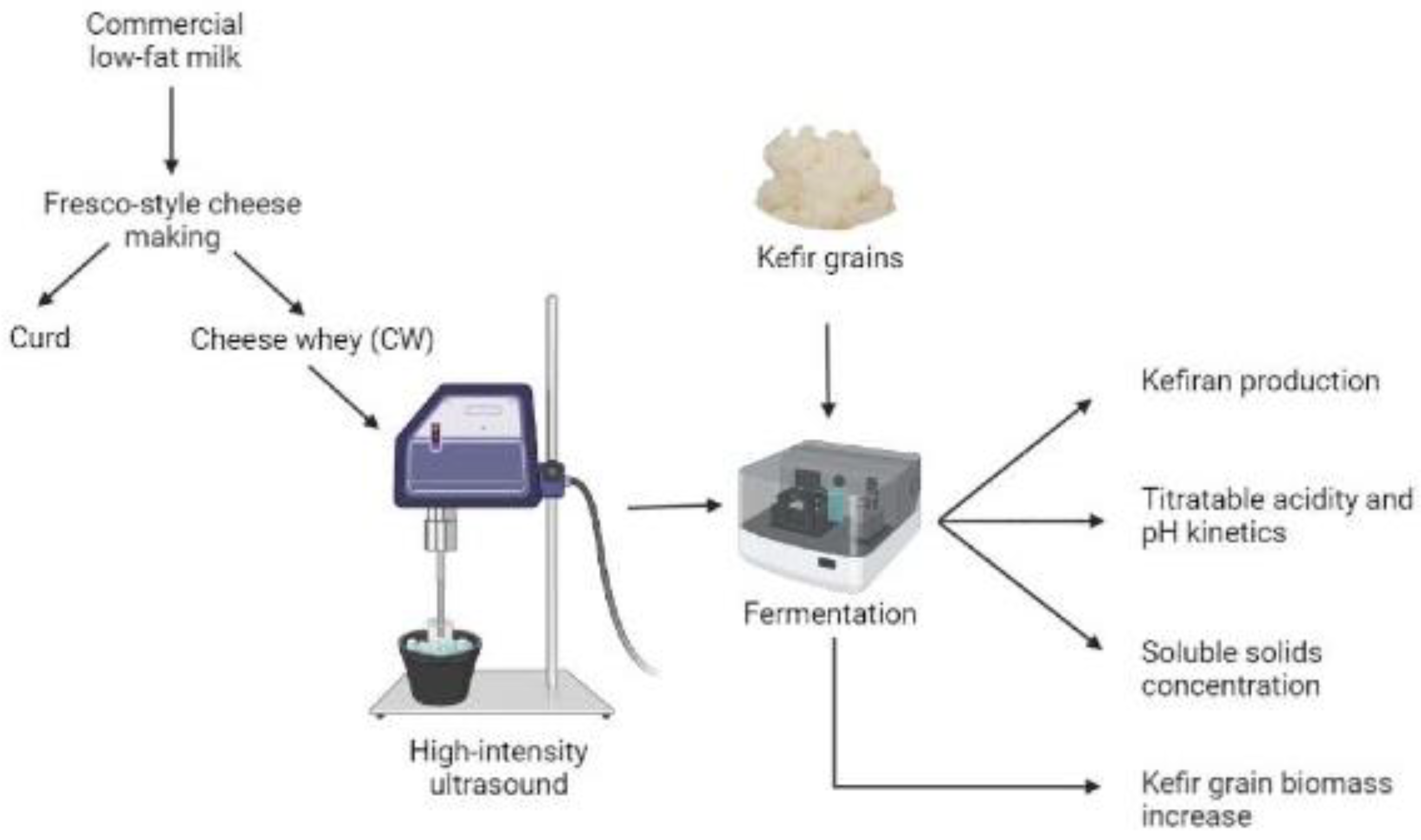 Processes | Free Full-Text | Effects of High-Intensity Ultrasound Pretreatment on the ...