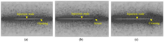 Propagation Law of Hydraulic Fracture across the Coal–Rock Interface ...