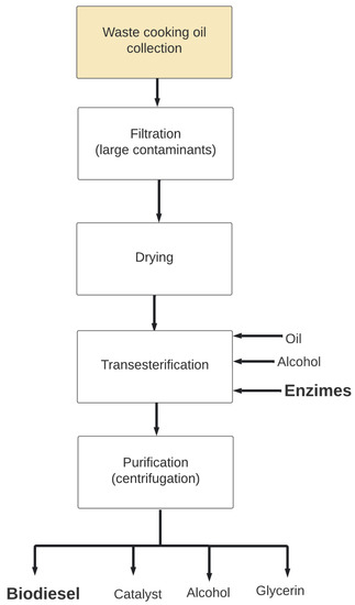 Biodiesel Production from Waste Cooking Oil: A Perspective on Catalytic ...