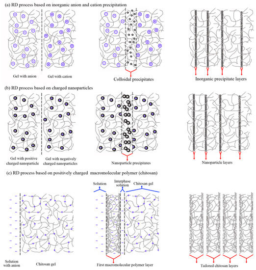 Reaction–Diffusion Process for Hydrogels with a Tailored Layer Structure