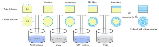 Reaction–Diffusion Process for Hydrogels with a Tailored Layer Structure