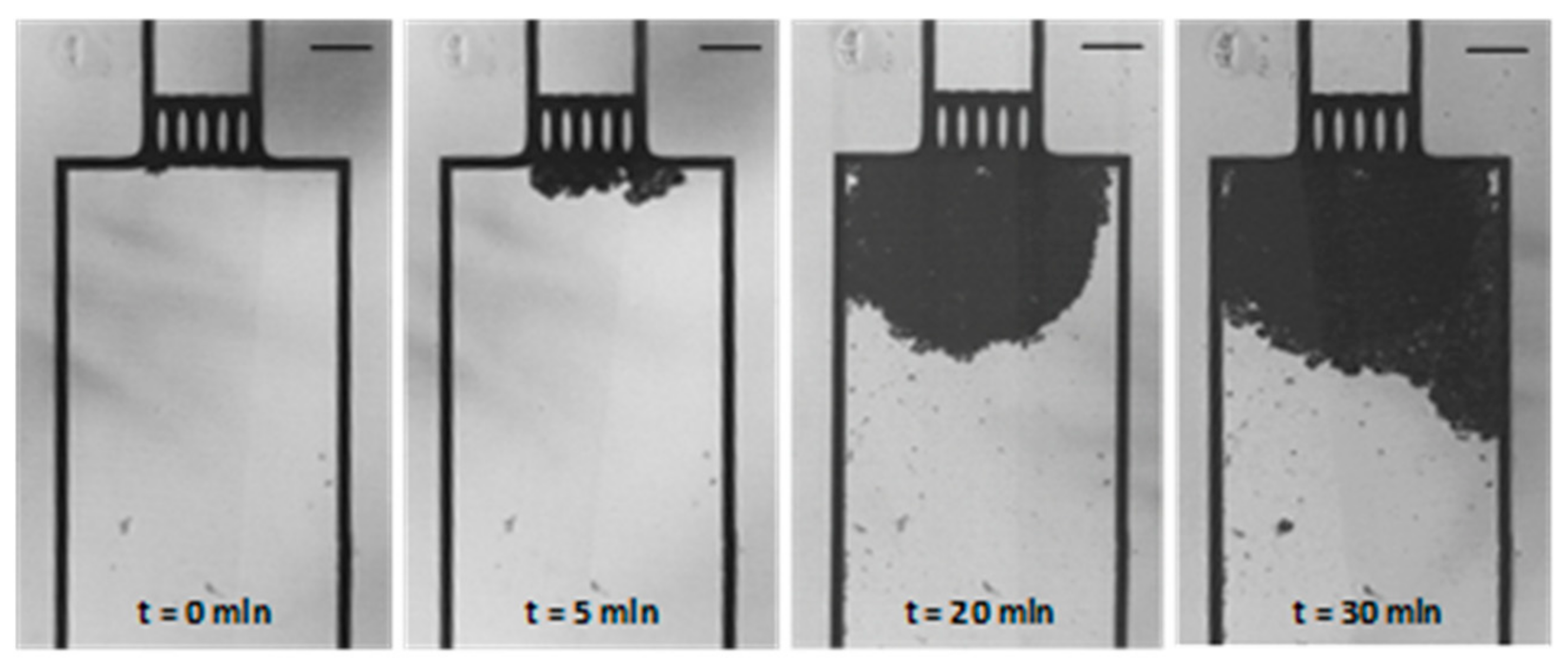 3D Imaging of On-Chip Porous Medium Using X-ray Laminography ...
