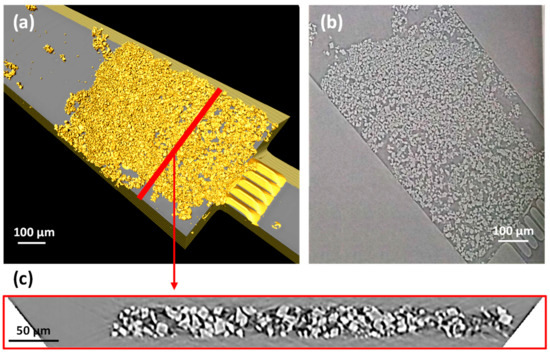 3D Imaging of On-Chip Porous Medium Using X-ray Laminography ...