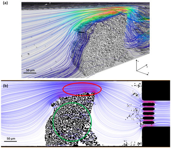 3D Imaging of On-Chip Porous Medium Using X-ray Laminography ...