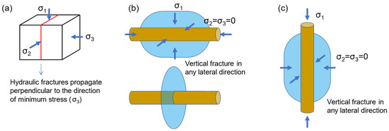 Cryogenic Fracture Proliferation from Boreholes under Stresses