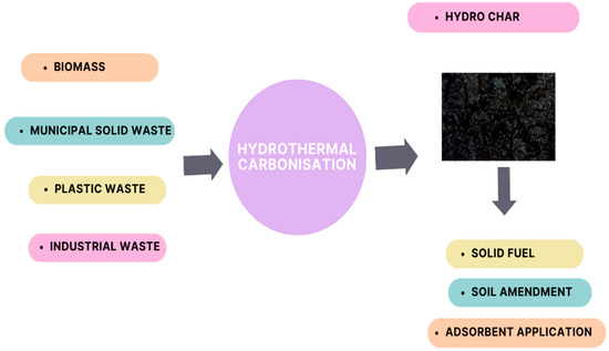 Comprehensive Assessment of Thermochemical Processes for Sustainable ...