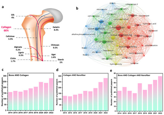 The Collagen-Based Scaffolds for Bone Regeneration: A Journey through ...
