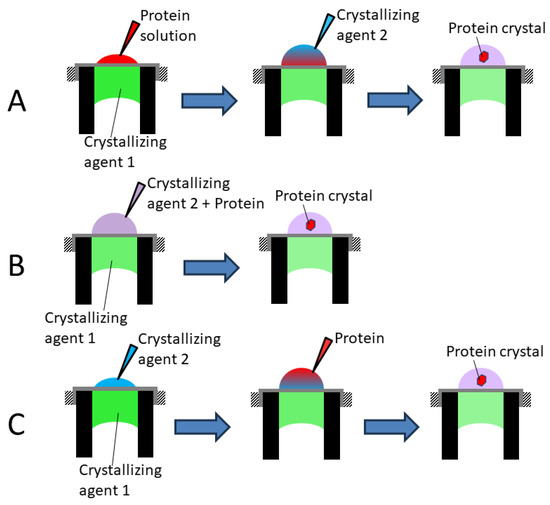 Membrane-Based Micro-Volume Dialysis Method for Rapid and High ...