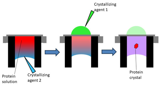 Membrane-Based Micro-Volume Dialysis Method for Rapid and High ...