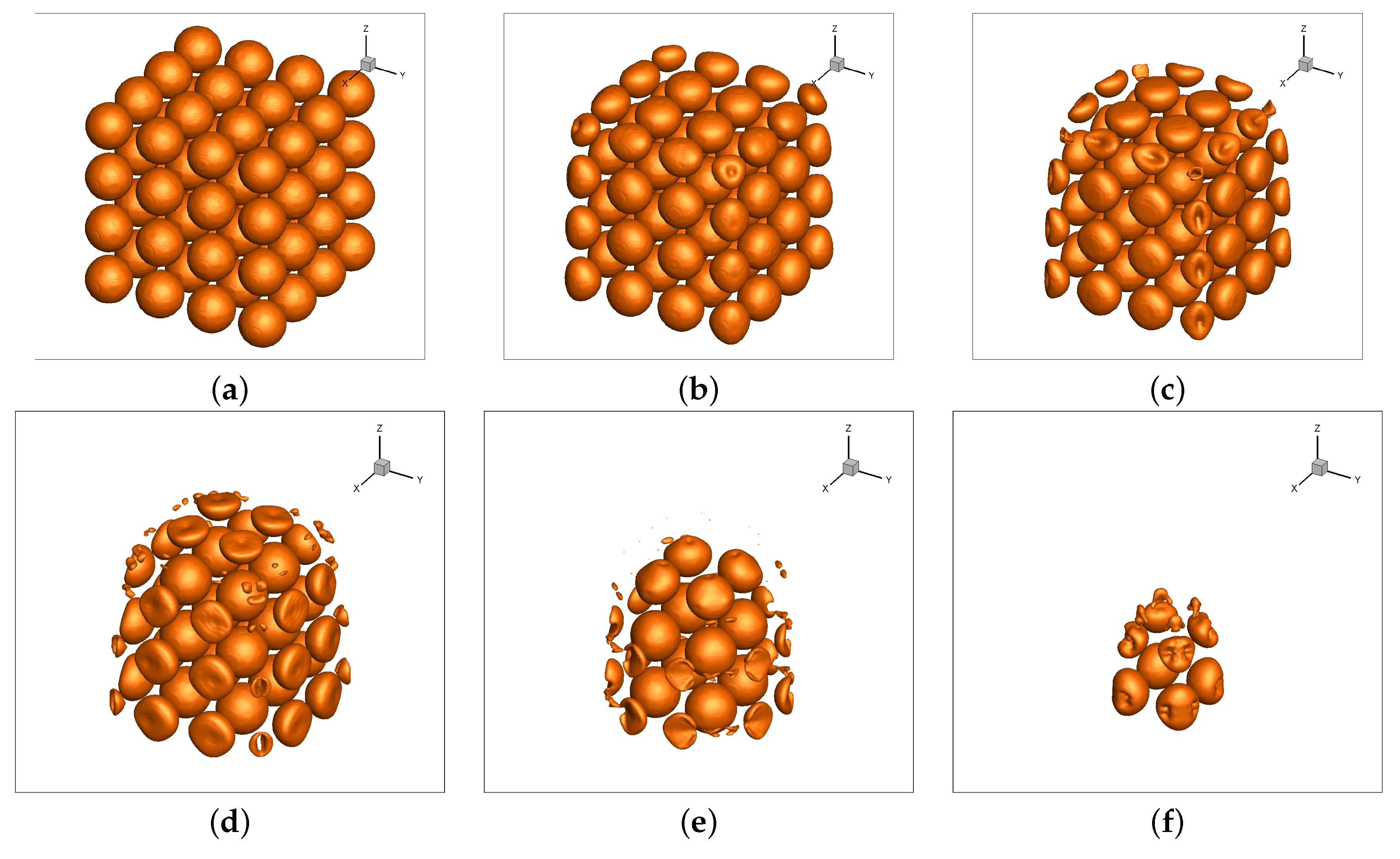 Direct Numerical Simulation of Bubble Cluster Collapse: Shape Evolution ...