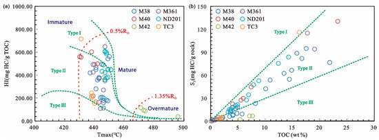 Paleoenvironmental Conditions and Shale Oil Potential of the ...