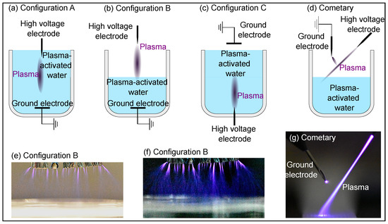 Plasma-Activated Water: Physicochemical Properties, Generation ...