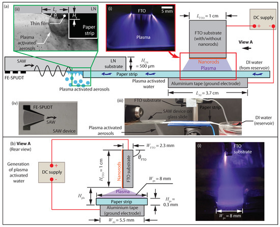Plasma-Activated Water: Physicochemical Properties, Generation ...