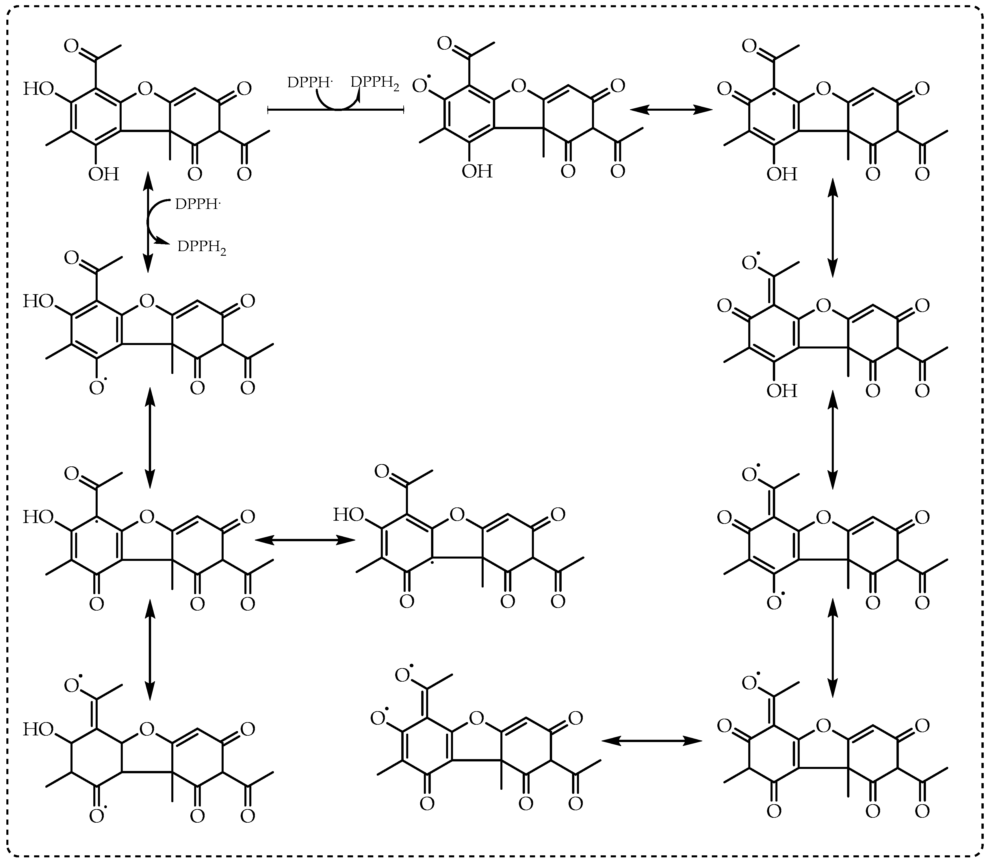 DPPH Radical Scavenging Assay
