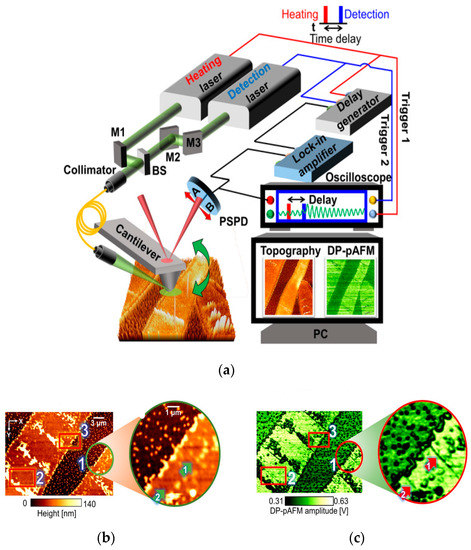 Atomic Force Microscopy as a Tool to Study Transport Phenomena in ...