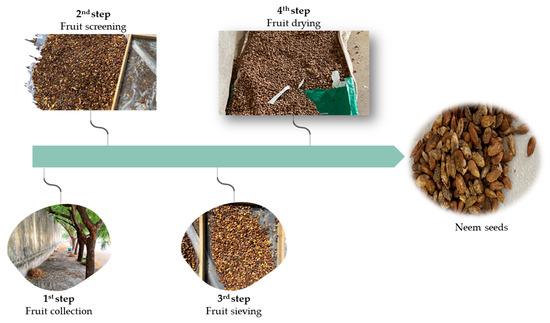 Analysis of the Fuel Properties of the Seed Shell of the Neem Plant ...