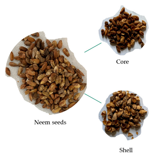Analysis of the Fuel Properties of the Seed Shell of the Neem Plant ...