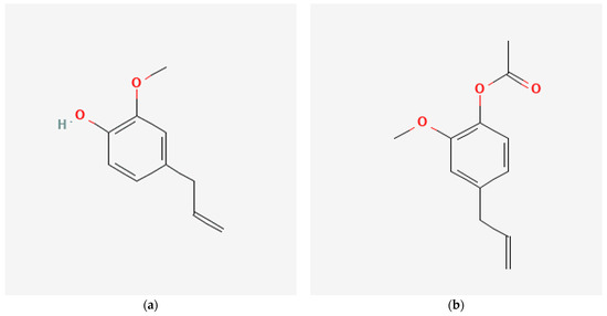 Unlocking the Full Potential of Clove (Syzygium aromaticum) Spice: An ...