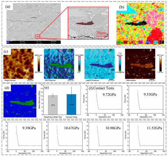 Application of AFM on Identifying Mechanical Properties of Individual ...