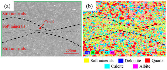 Application of AFM on Identifying Mechanical Properties of Individual ...
